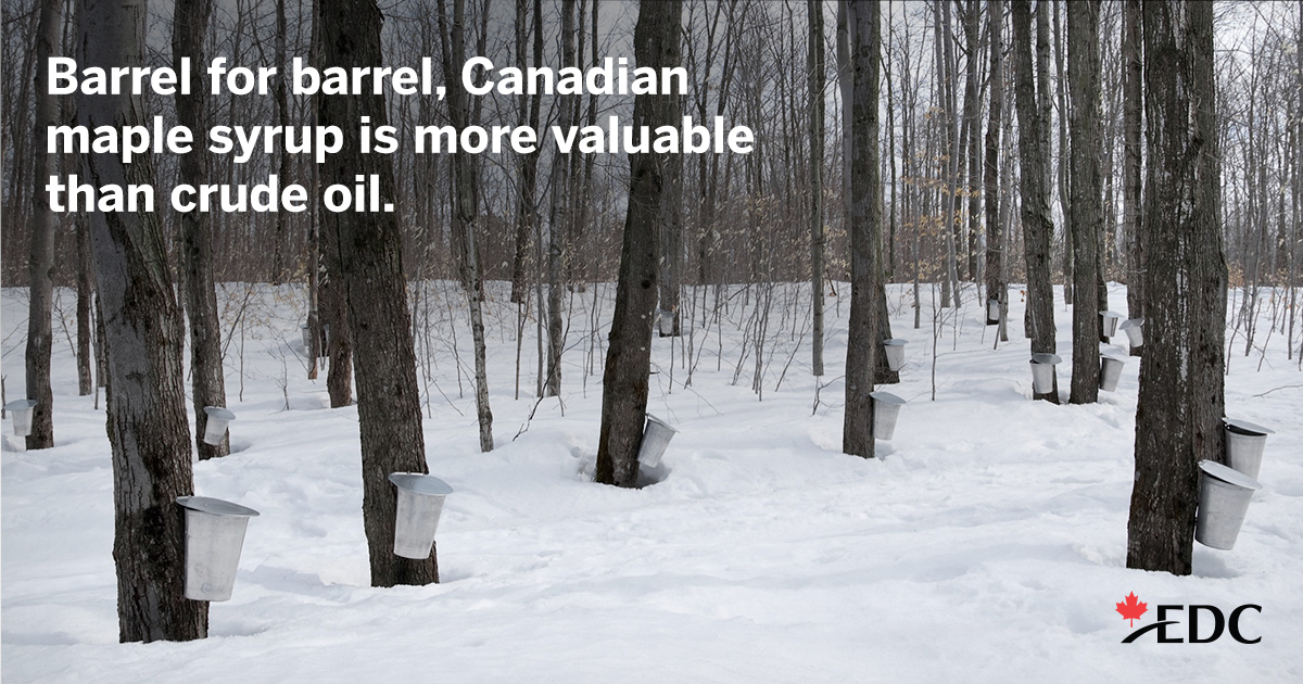 Canadian maple syrup exports: The future is looking sweet | EDC